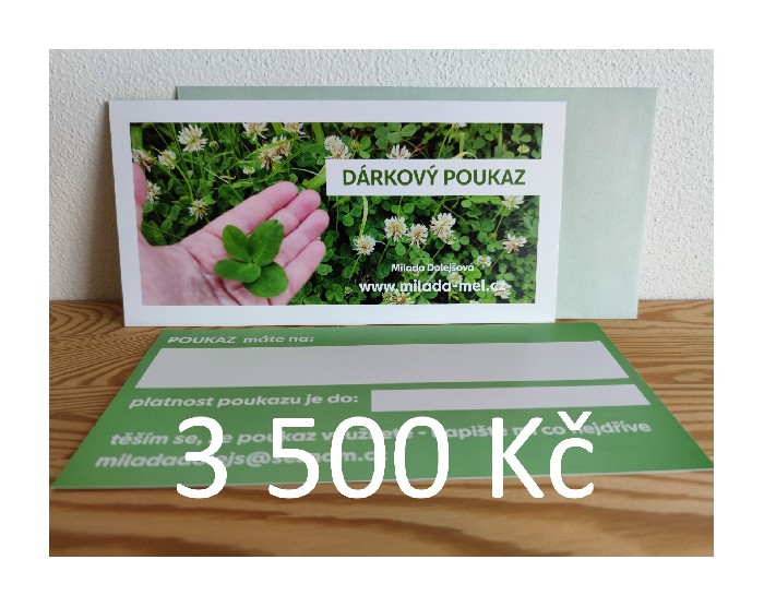 Dárkový poukaz - ve výši 3 500 Kč :: Milada-dolejsova-osobni-a-rodinny-kouc9